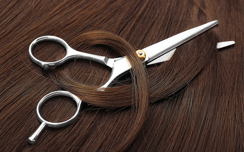 Cutting Theory Part 1 | How to Cut Hair